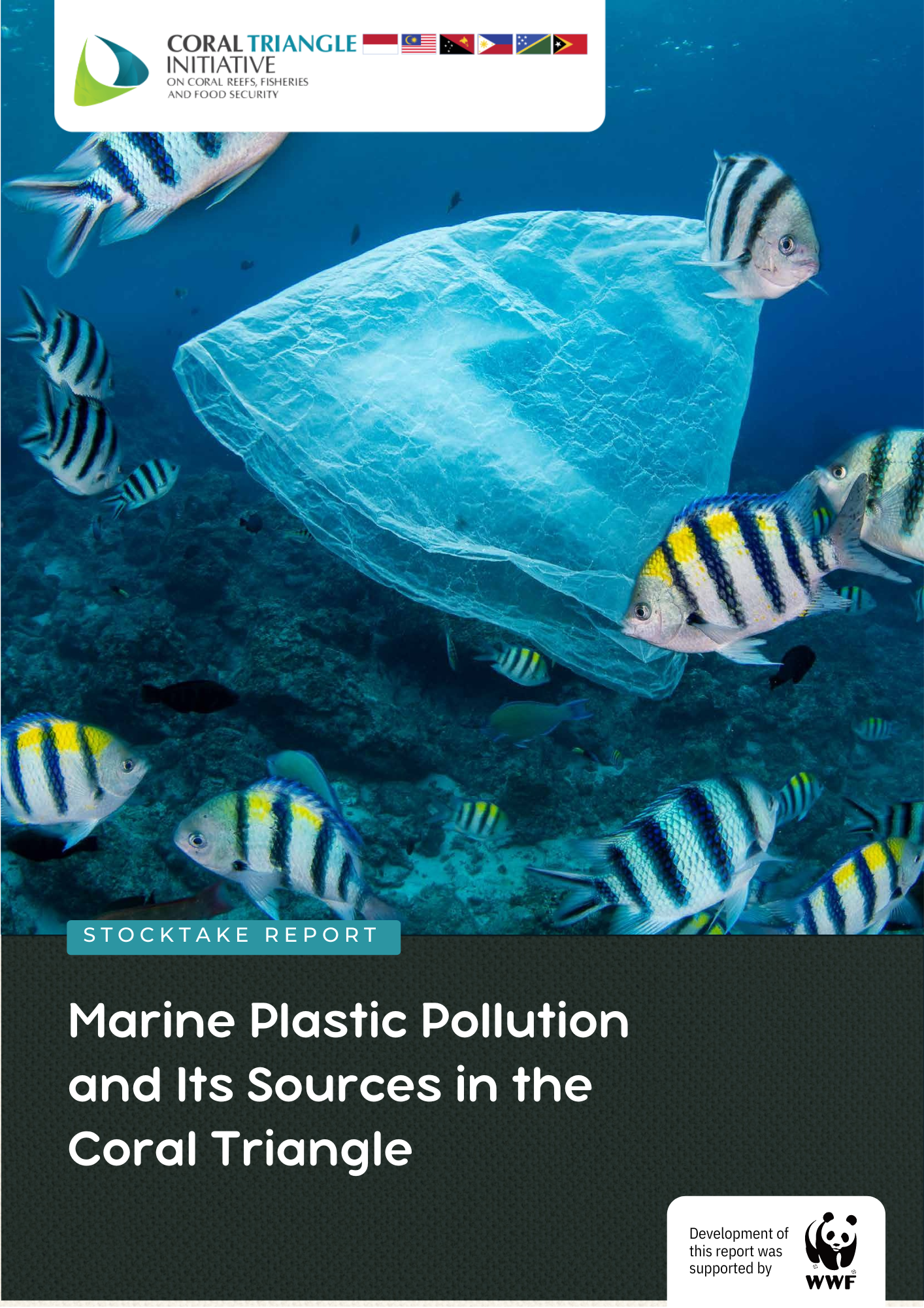 WWF | Marine Plastic Pollution and Its Sources in the Coral Triangle ...