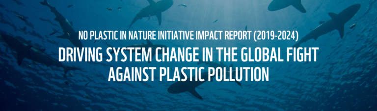 WWF | Plastic Waste Free Schools Model in Viet Nam - Plastic Smart Cities
