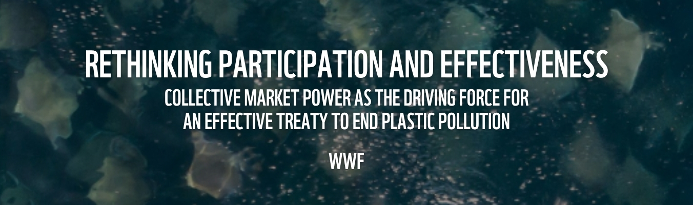 WWF Policy Brief | Rethinking Participation and Effectiveness ...
