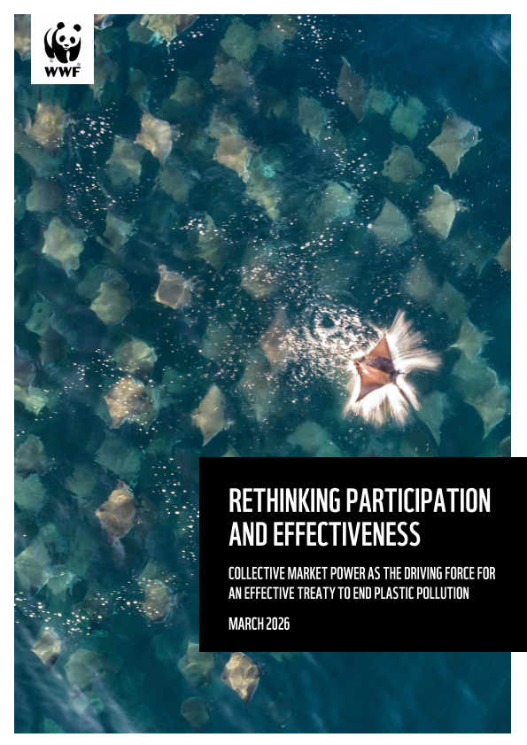 WWF Policy Brief | Rethinking Participation and Effectiveness ...